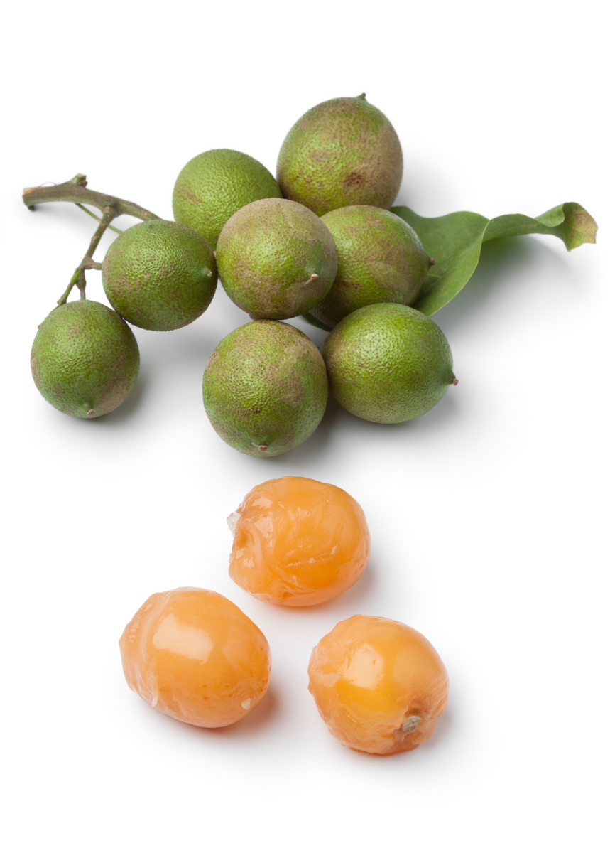 Spanish Lime Quenepa Fruit Trees for Sale SowExotic Sow Exotic