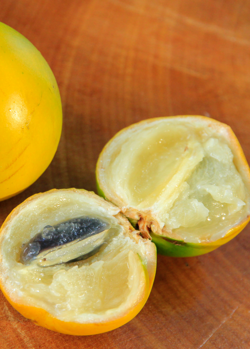 Abiu Fruit Trees for Sale - SowExotic.com – Sow Exotic