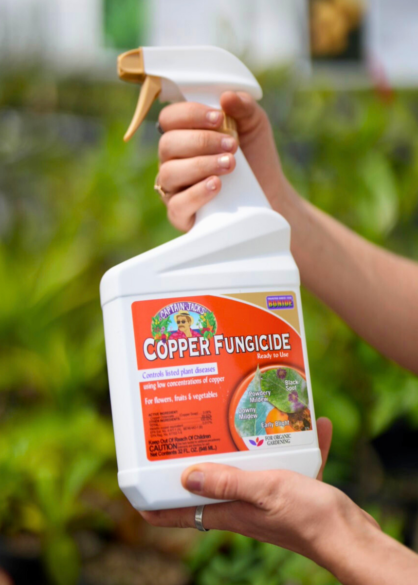 Captain Jack's Liquid Copper Fungicide – Sow Exotic