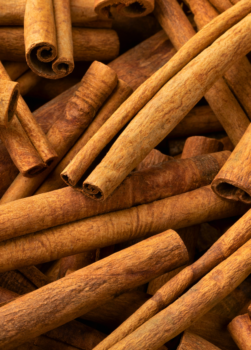 Cinnamon Tree (Cinnamomum verum) - Live Plant | Sow Exotic