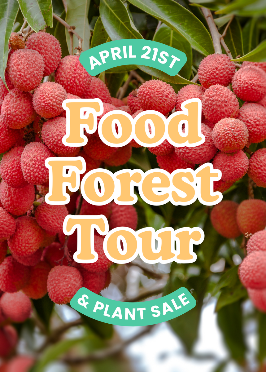 Food Forest Tour & Private Plant Sale - Sunday, April 21st – Sow Exotic