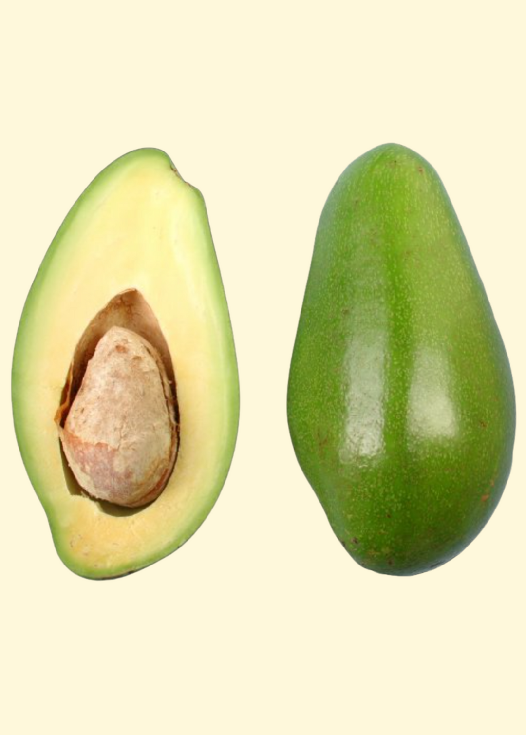 Avocado Zone 9b