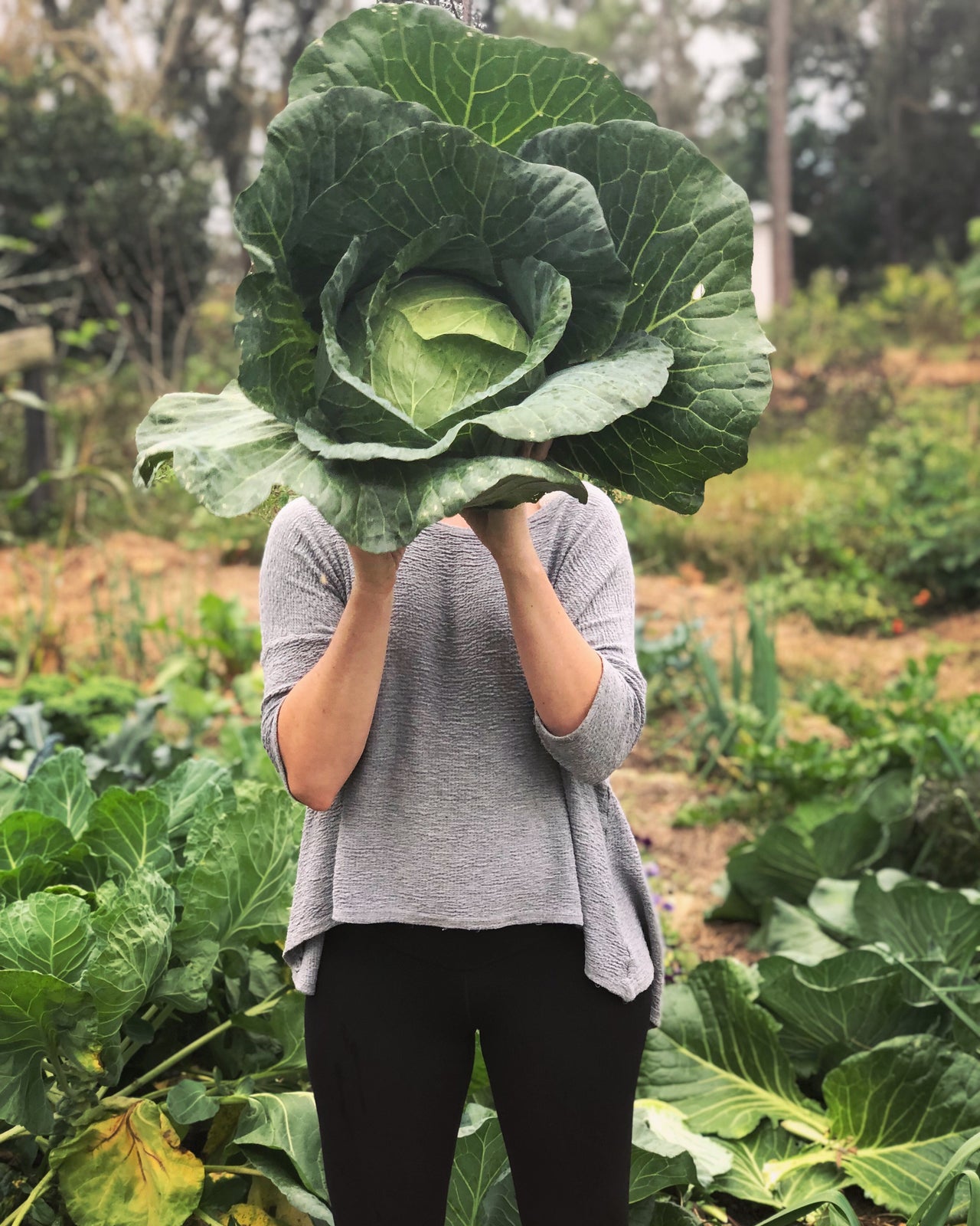 Our Story – Sow Exotic