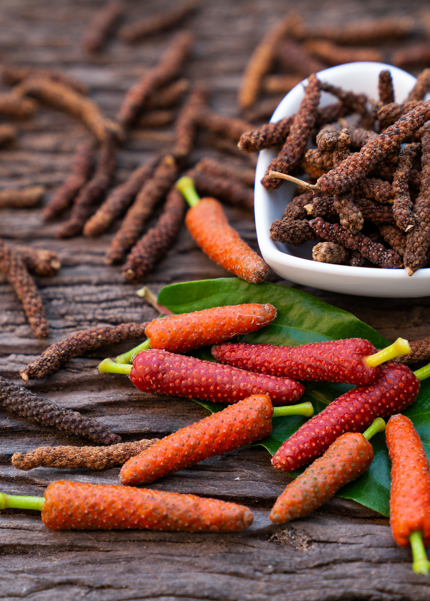 Rare Indian Long Pepper Plants For Sale - SowExotic.com – Sow Exotic