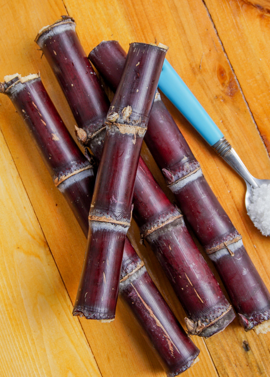 Red Sugar Cane Plants For Sale - SowExotic.com – Sow Exotic