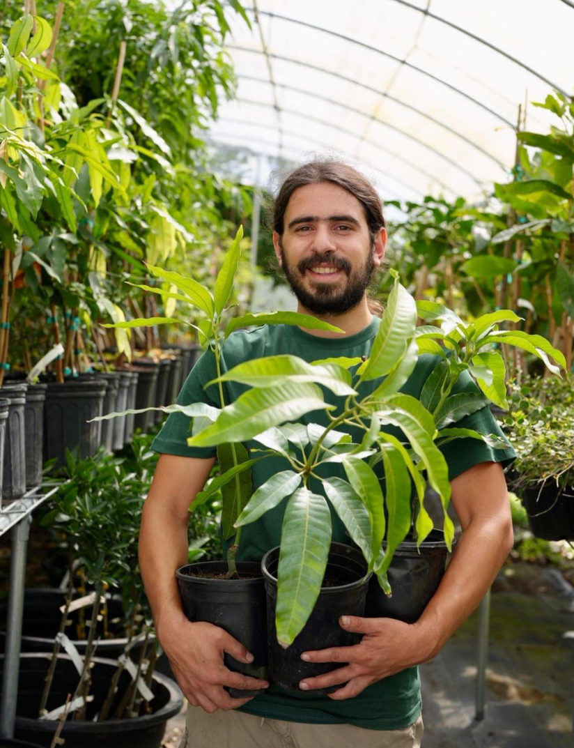 Nance Fruit Tree, Byrsonima crassifolia - Tropical Fruit | Sow Exotic