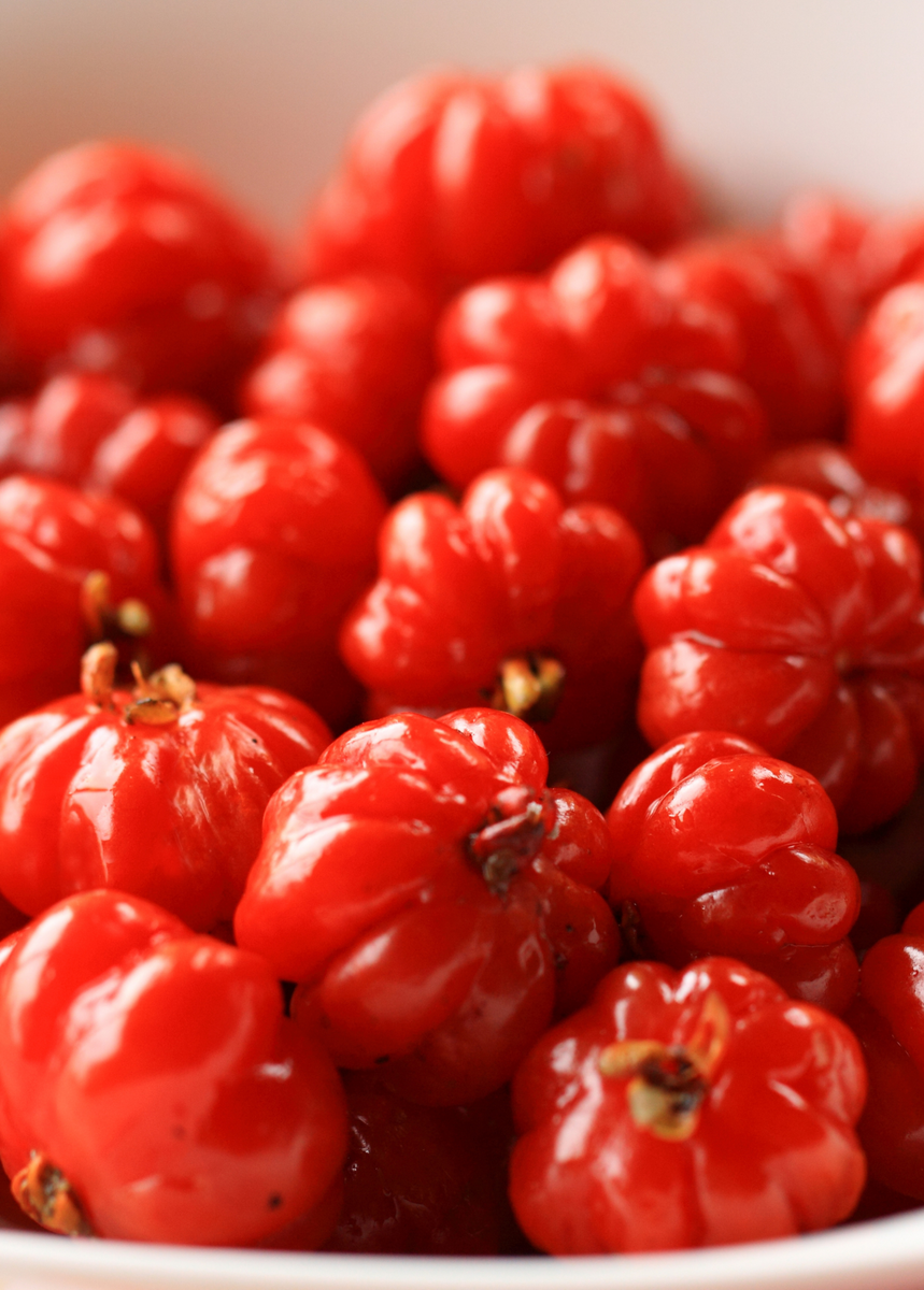 Surinam Cherry Seedling Fruit Tree | Sow Exotic
