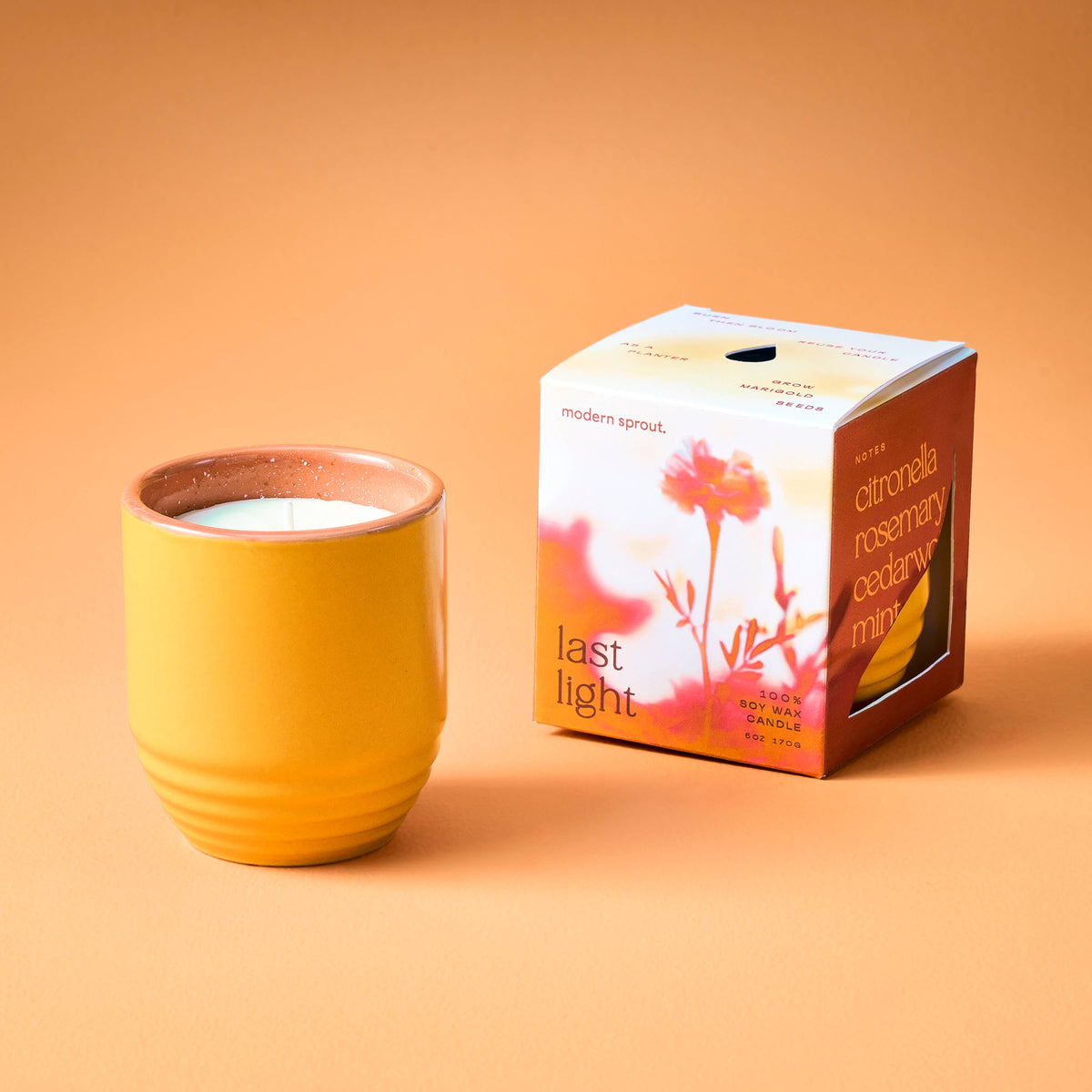 Garden Glow 2-in-1 Candle Planter – Sow Exotic