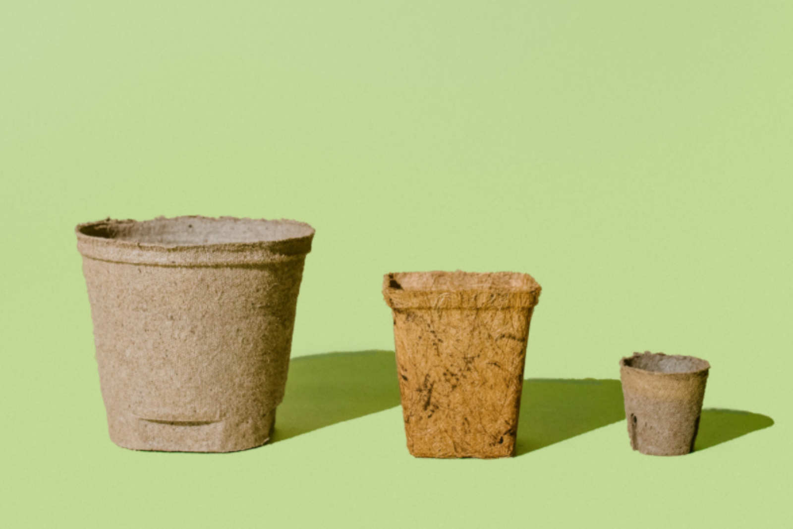 Our Plantable Pots – Sow Exotic