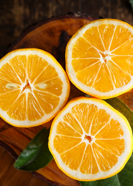 New Arrivals – Page 6 – Sow Exotic