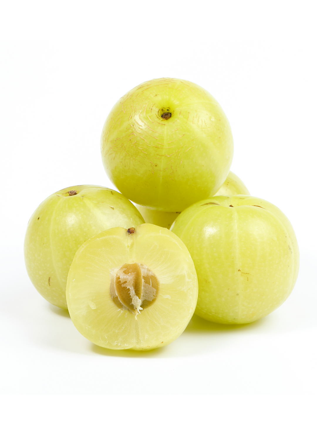 Indian Gooseberry Fruiting Time