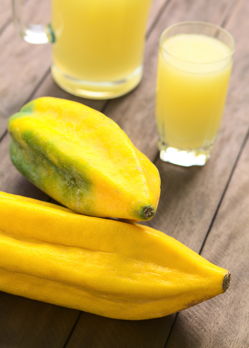 Babacao 'Mountain Papaya' Fruit Tree - SowExotic.com – Sow Exotic