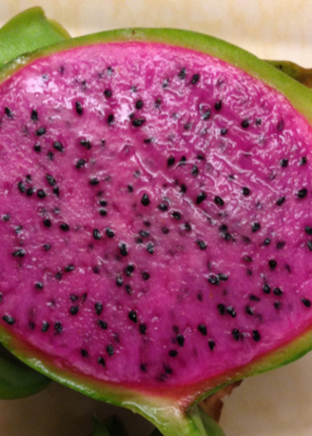 New Arrivals – Page 2 – Sow Exotic