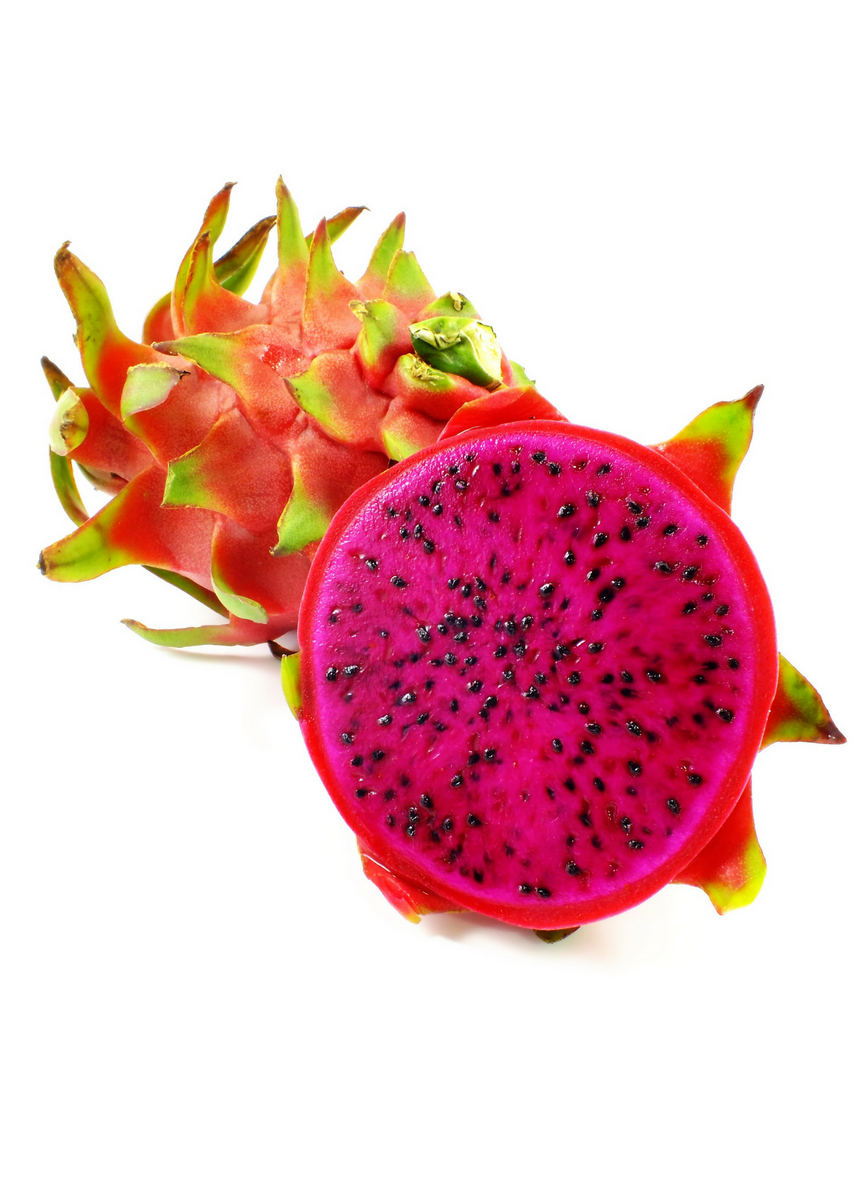Red Tricia Dragon Fruit Plant - Fruiting Cactus Vine | Sow Exotic