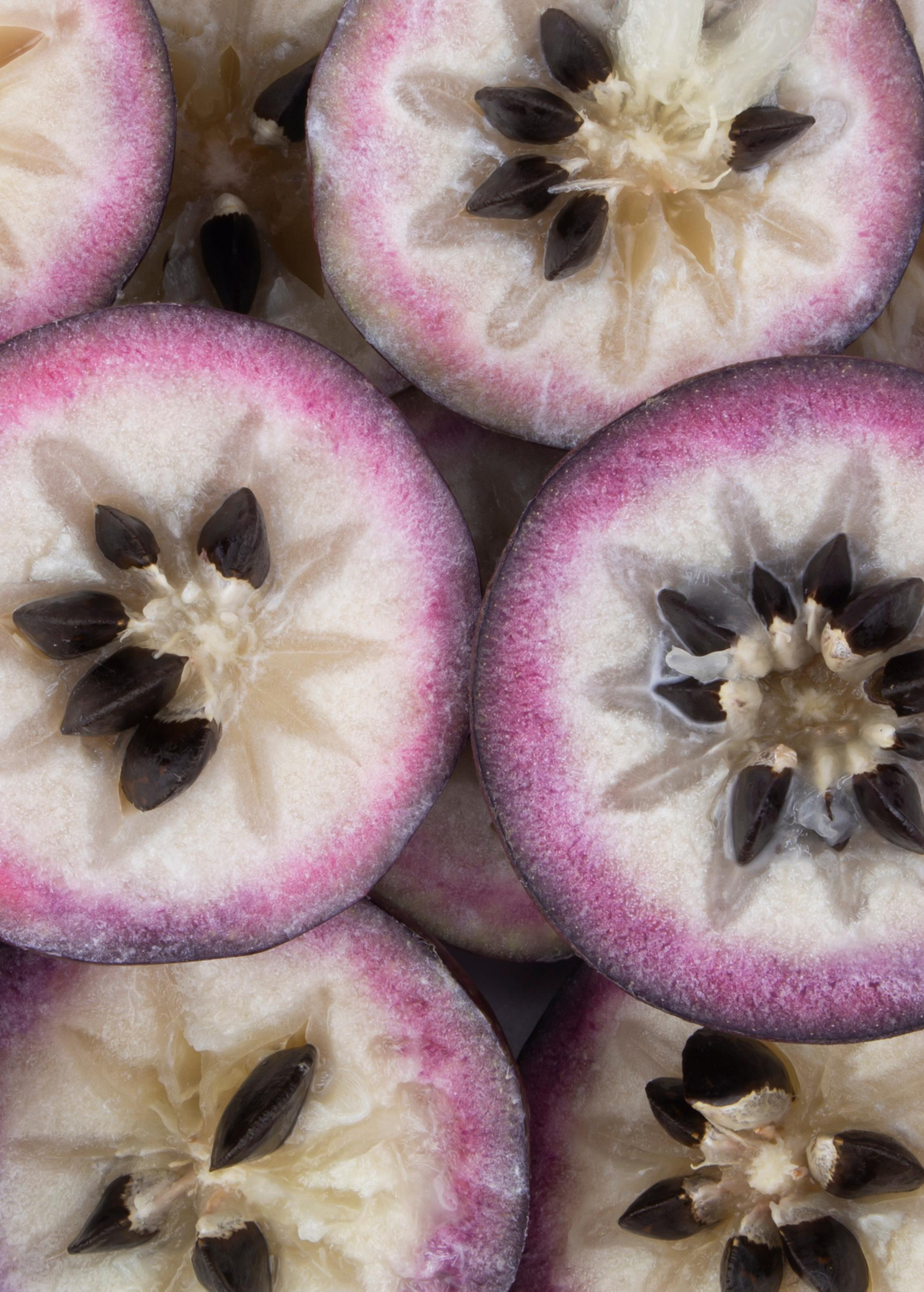 violet circle fruit
