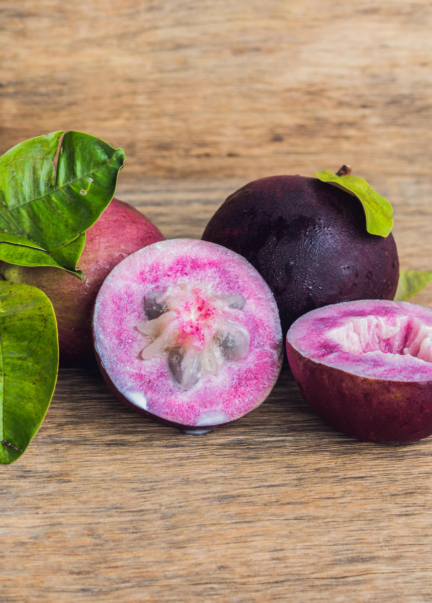 Purple Caimito, Star Apple Fruit Trees For Sale - SowExotic.com – Sow ...
