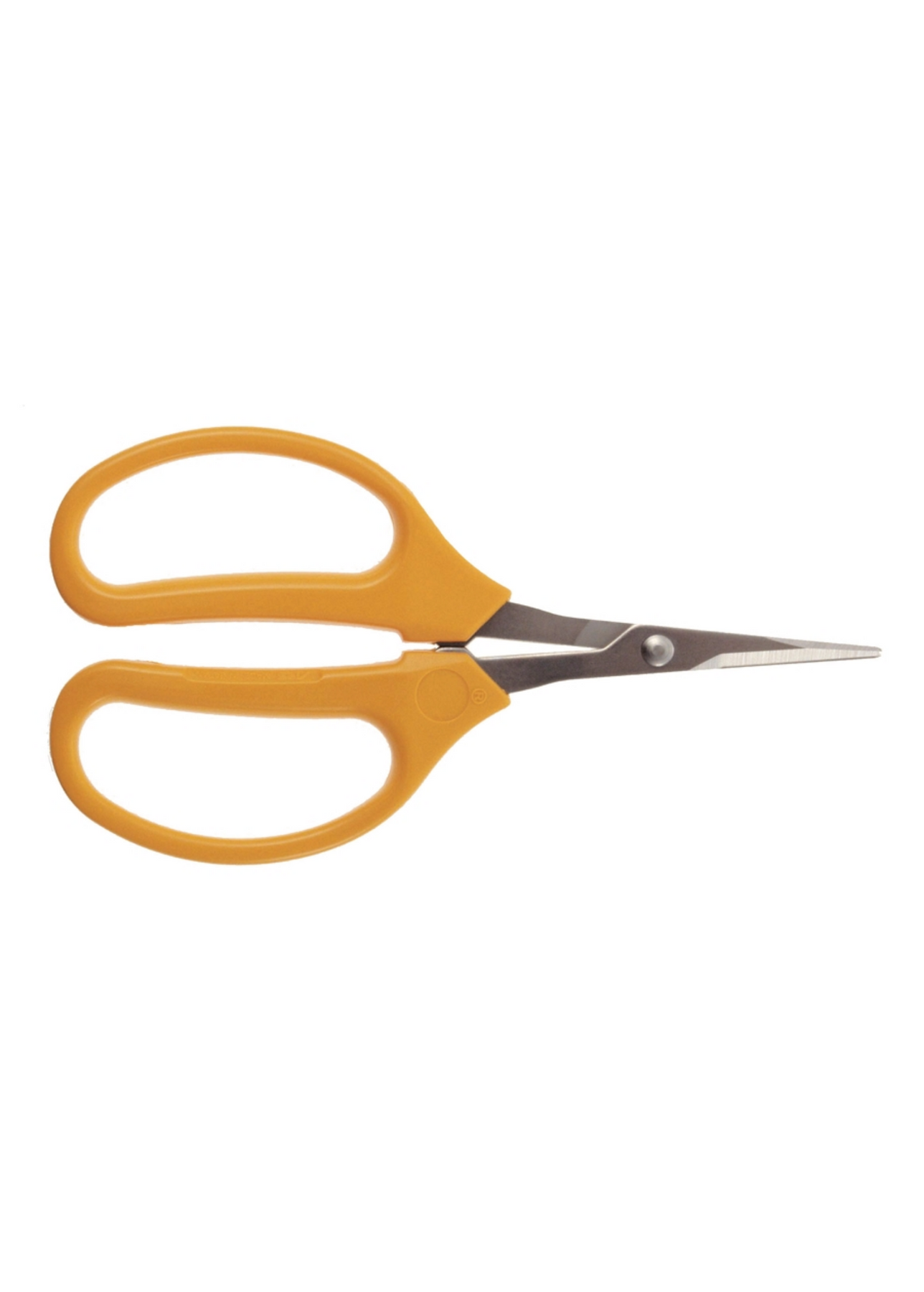 Sow Exotic | Garden Tools | Grape Scissors