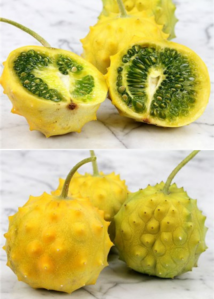 kiwano tree