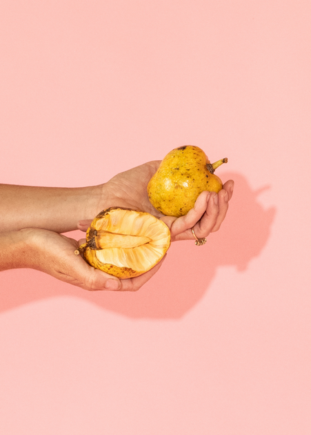 Tropical Fruit & Spice Trees – Page 2 – Sow Exotic