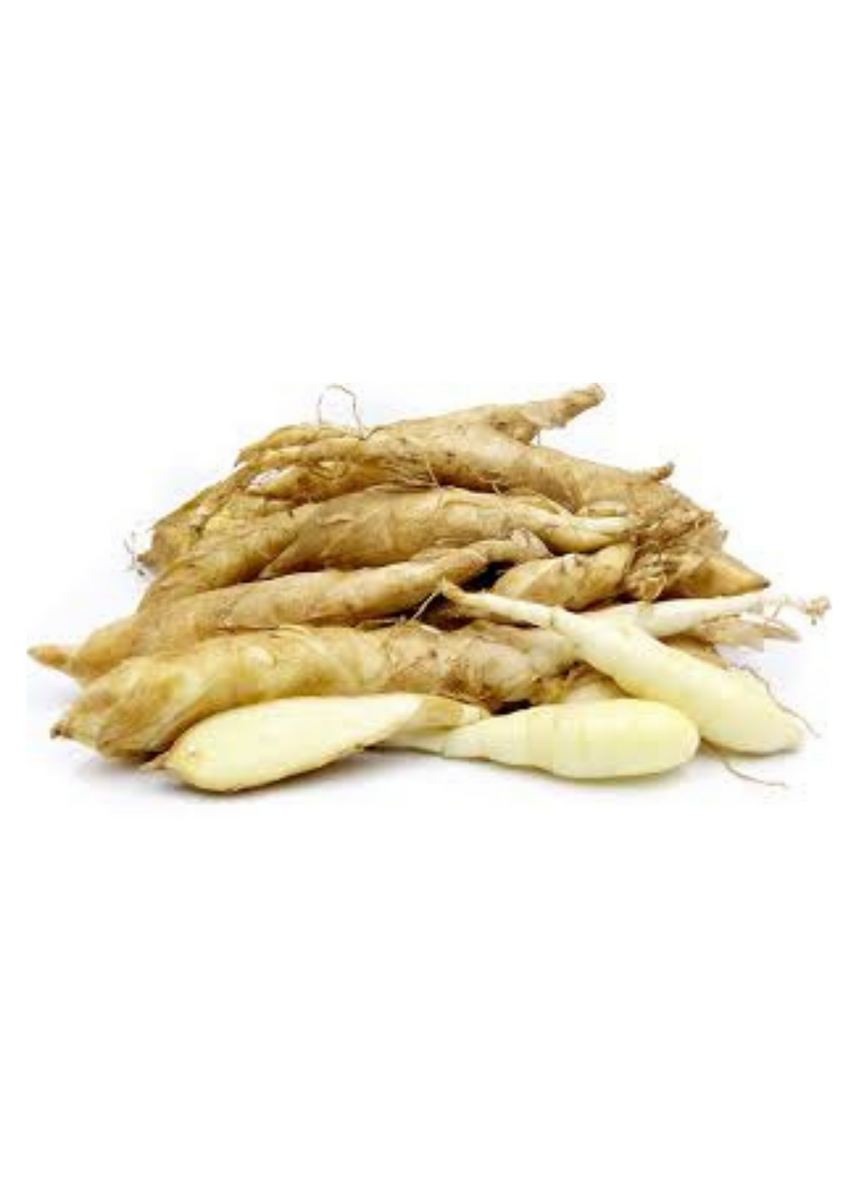 Arrowroot | Live Plant | Sow Exotic