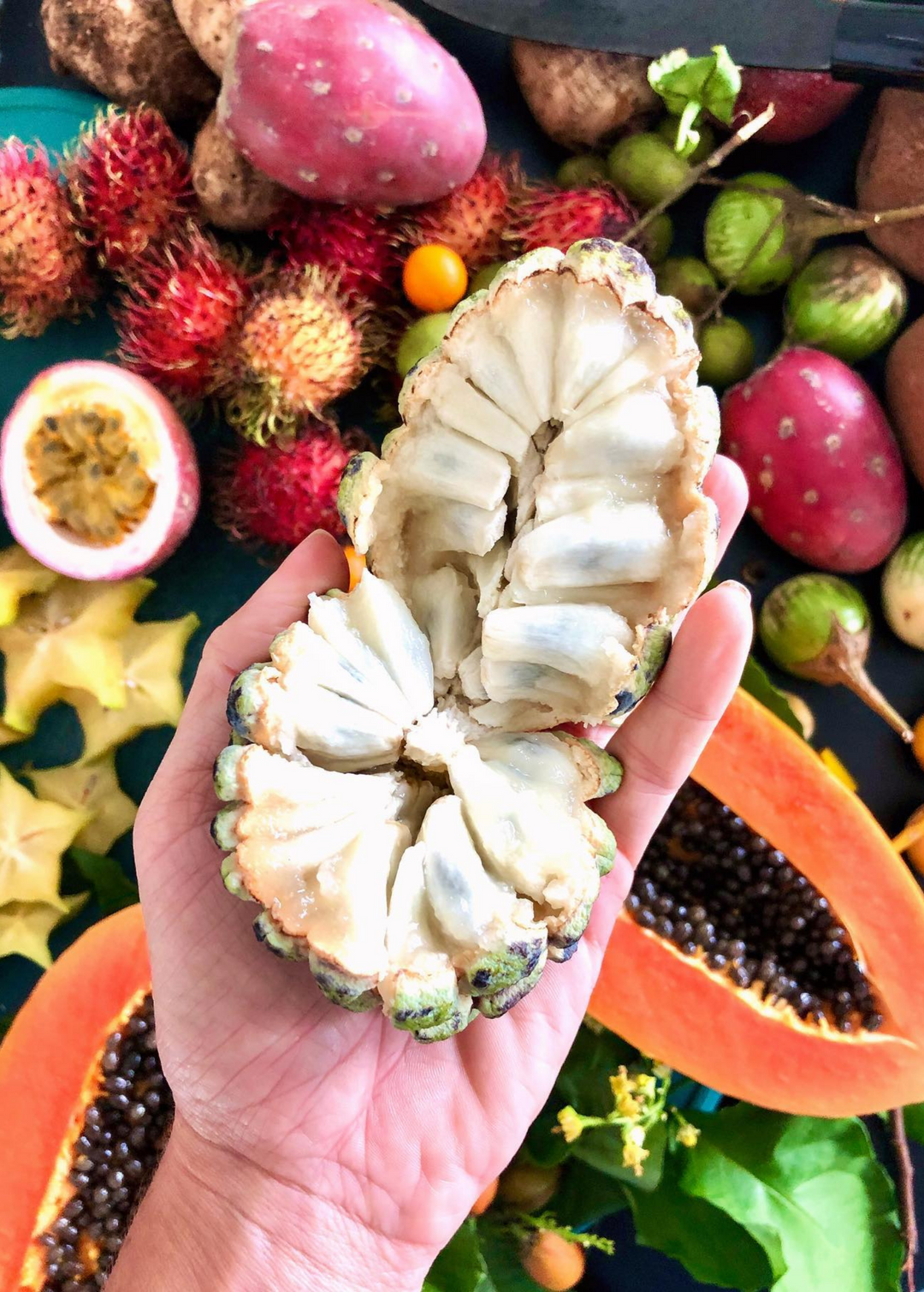 Sugar Apple Fruit